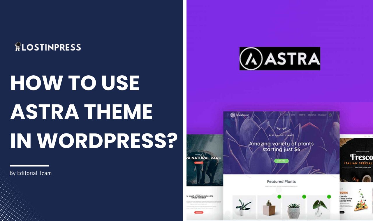 How To Use Astra Theme In WordPress?